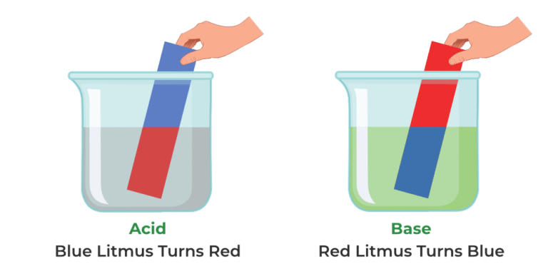 Acids vs. Bases: What’s the Difference?