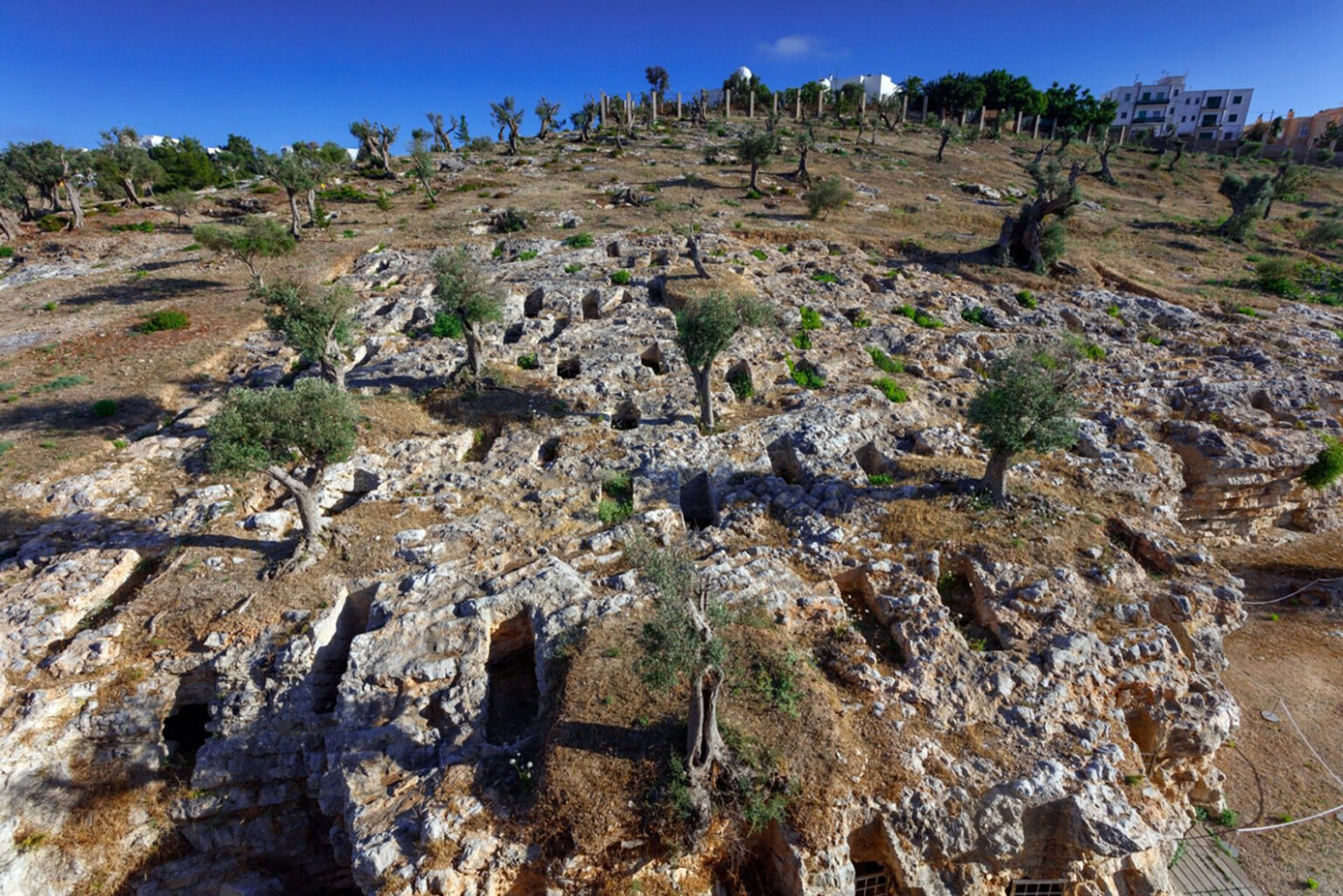 Ancient DNA Reveals the True Origins of the Punic People