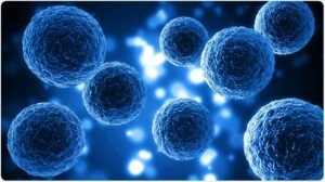 What Makes a Species Go Extinct? A Biological Perspective